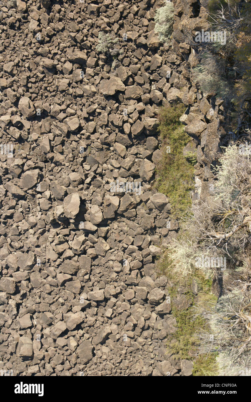Background - basalt cliffs and talus from ancient lava flow, Crooked ...