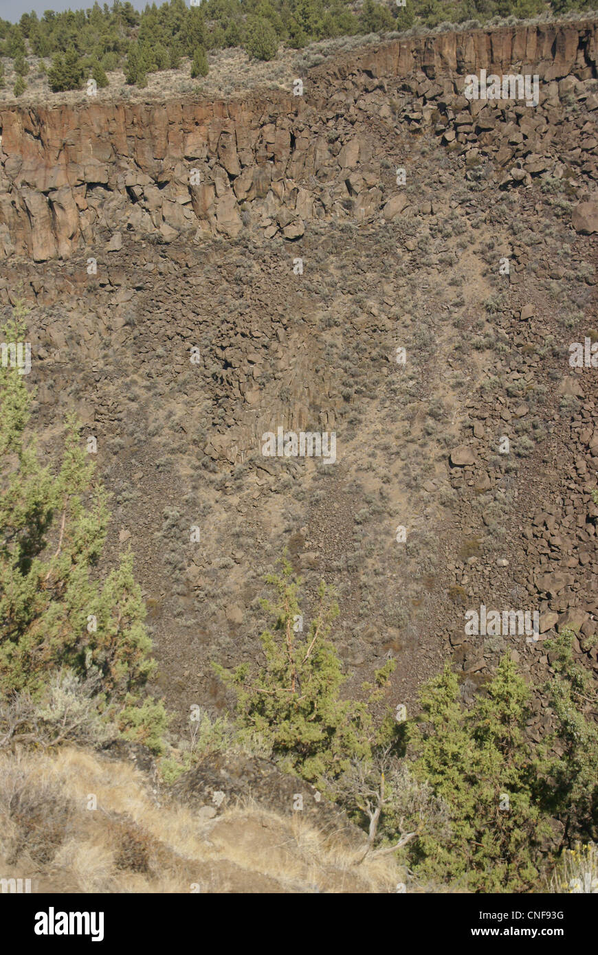Background - basalt cliffs and talus from ancient lava flow, Crooked ...