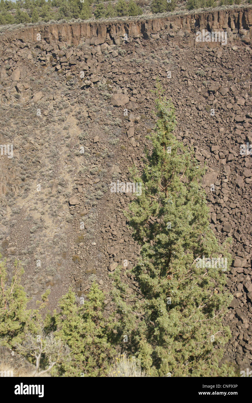 Background - basalt cliffs and talus from ancient lava flow, Crooked ...