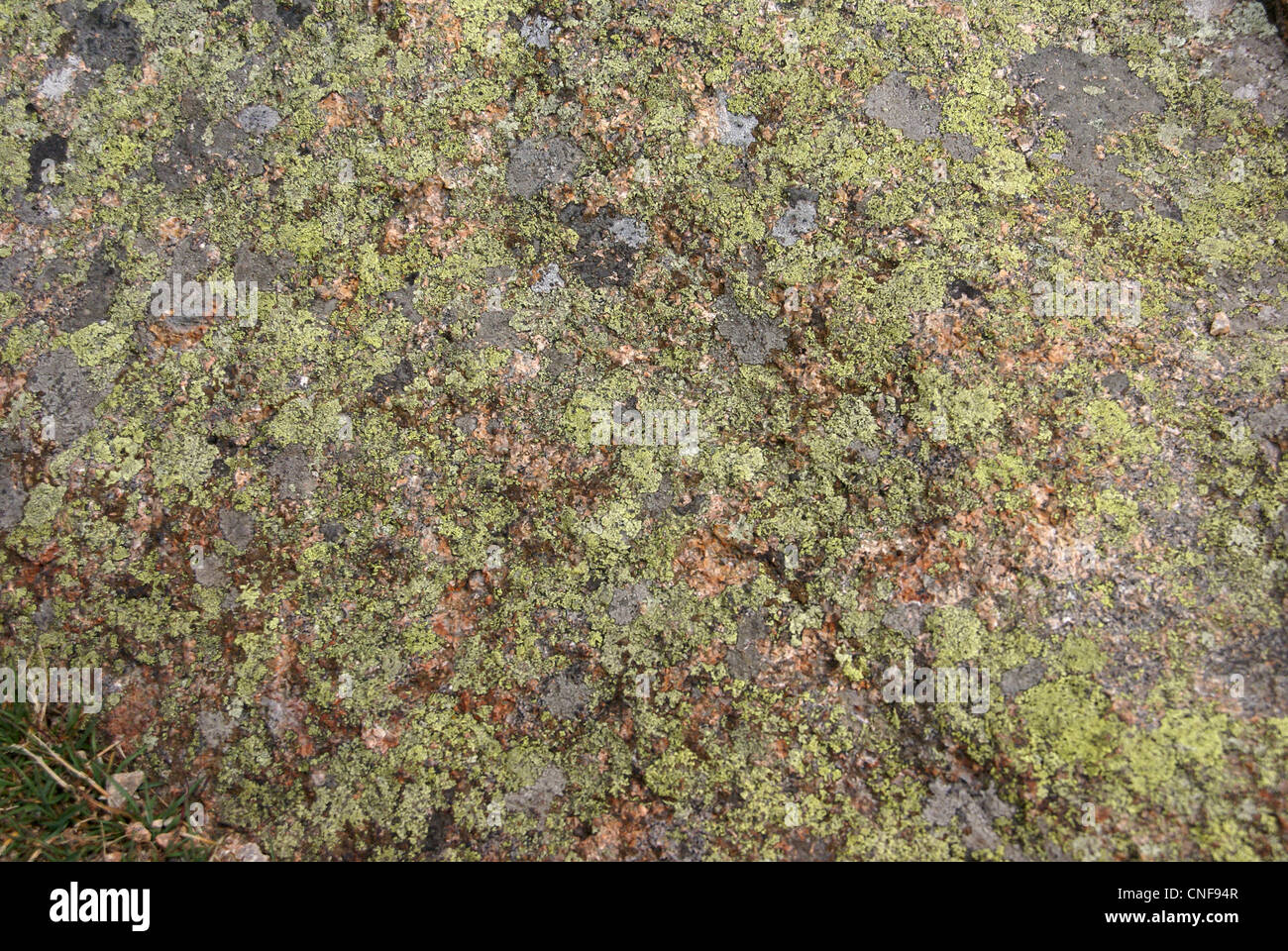 Basalt lava boulders hi-res stock photography and images - Alamy