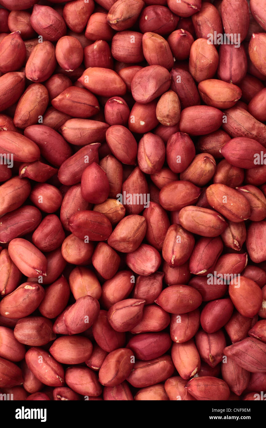 Red Skin Peanuts at Melinda Morris blog