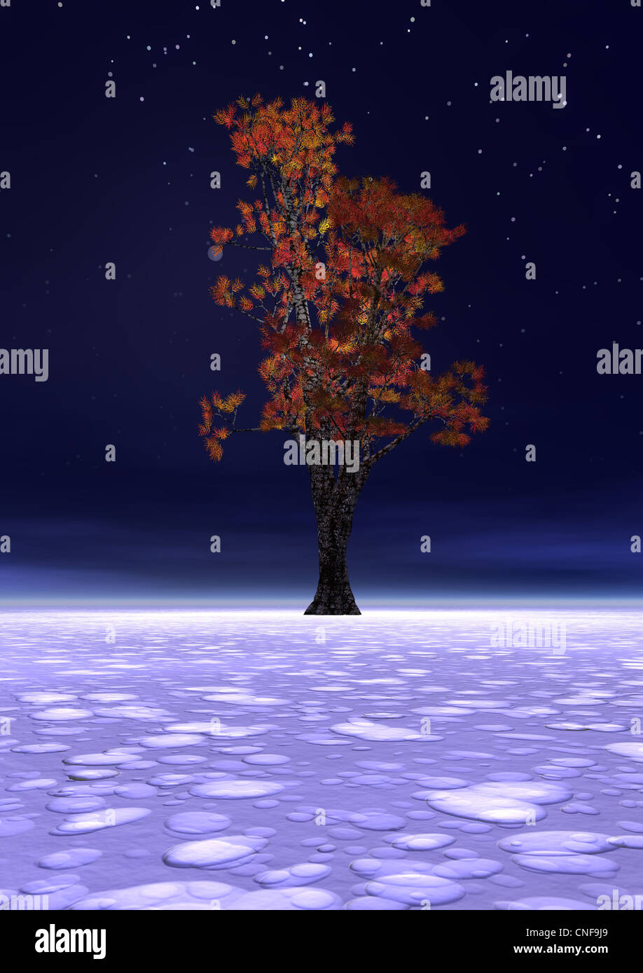 tree orange and sky blue Stock Photo - Alamy