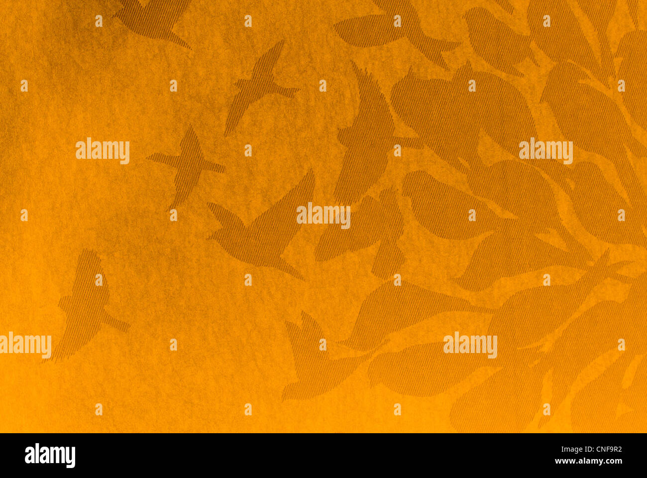 bird abstract background or texture Stock Photo - Alamy