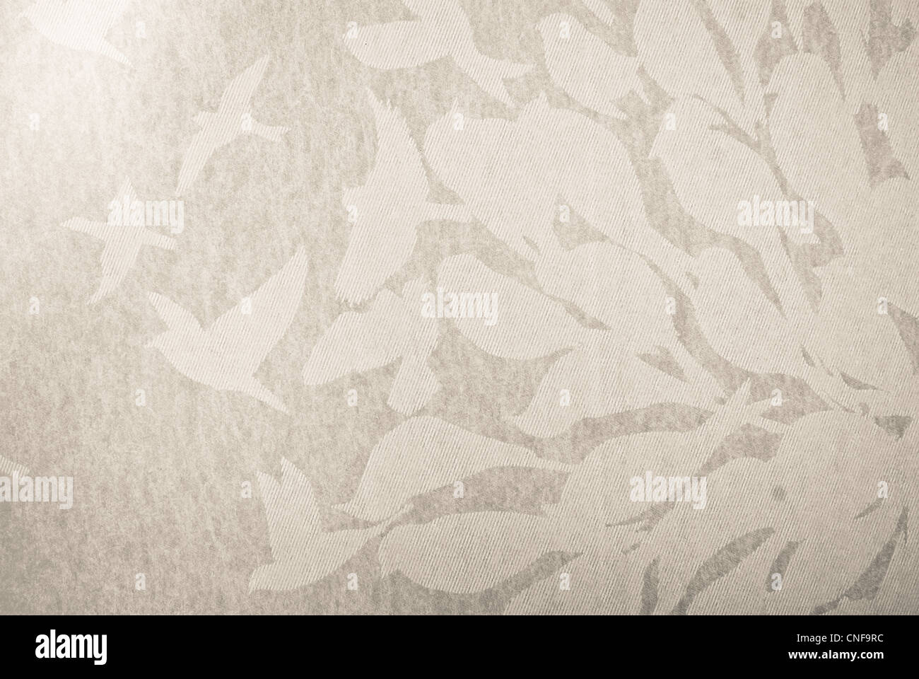 bird abstract background or texture Stock Photo - Alamy