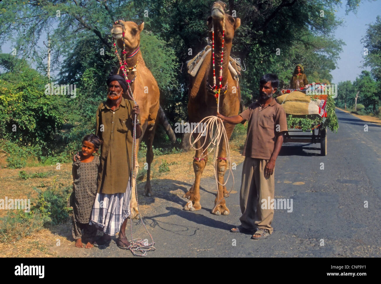 Gypsies nomadic nomads hi-res stock photography and images - Alamy