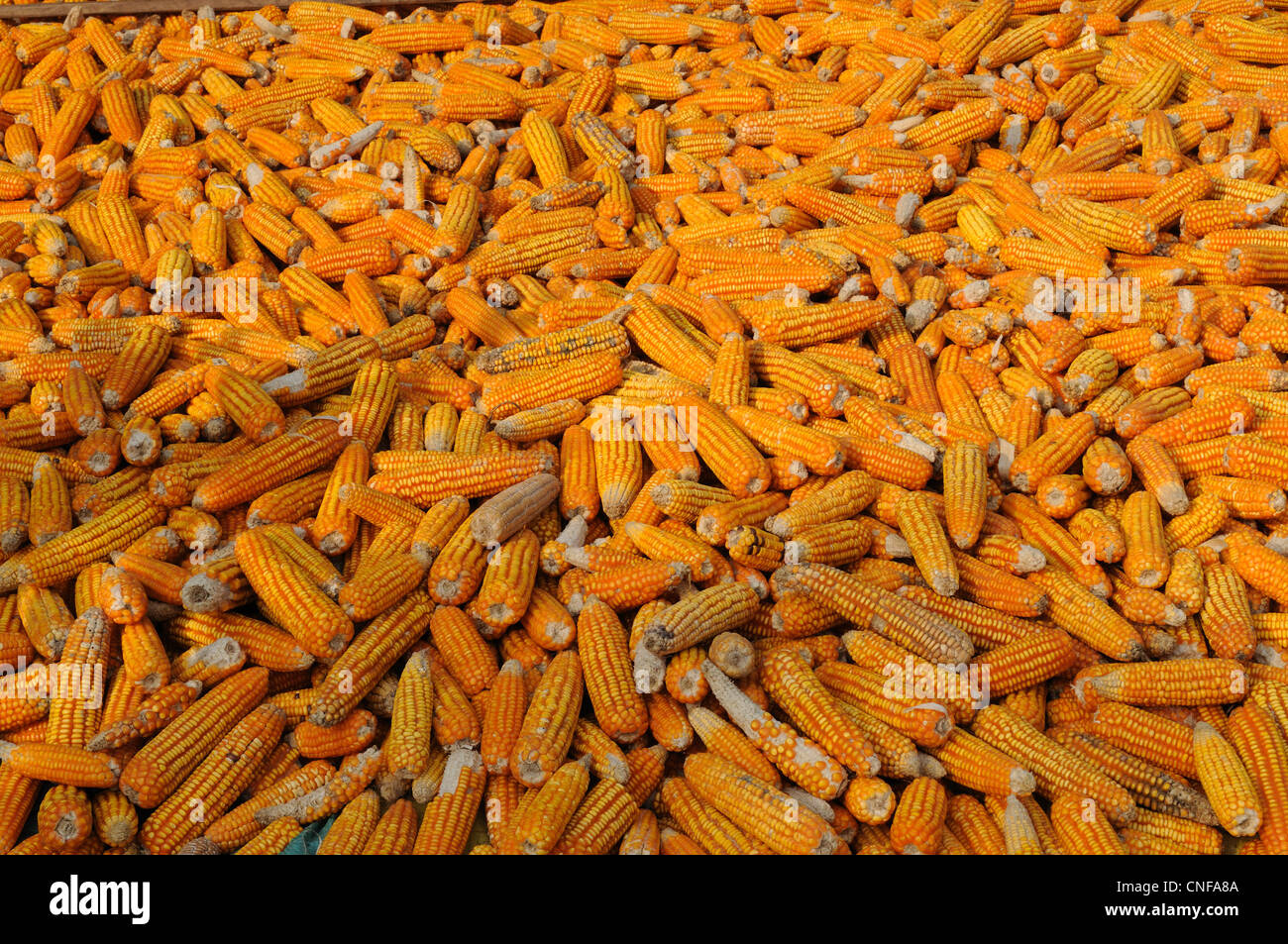 Maize laos hi-res stock photography and images - Alamy