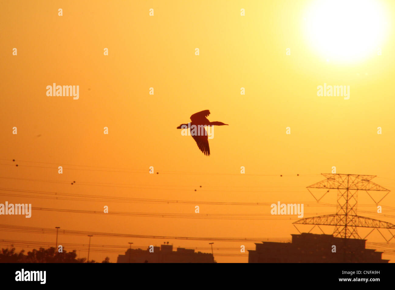 Let me go home Stock Photo - Alamy