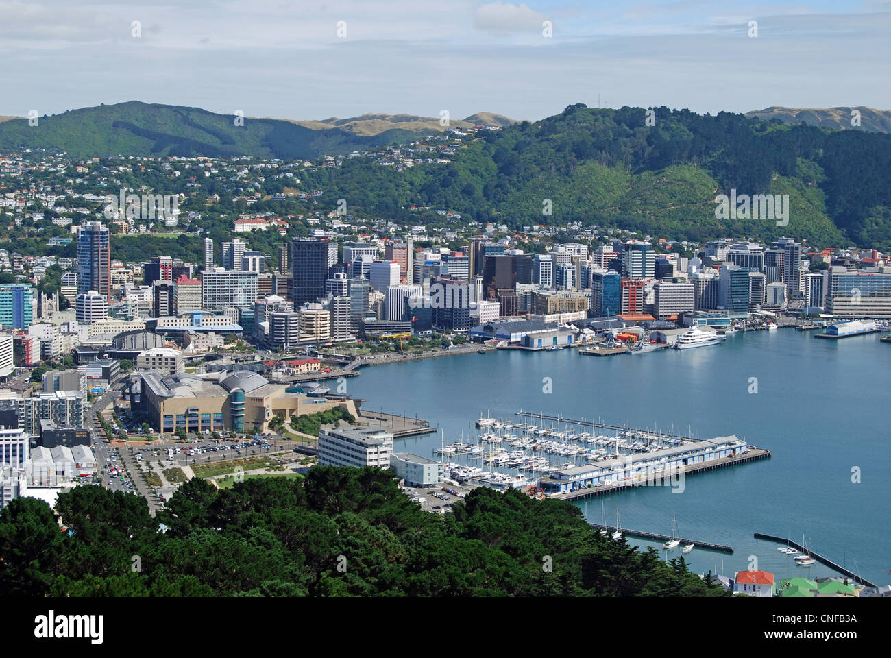 View of city and harbour from Mount Victoria Lookout, Wellington ...