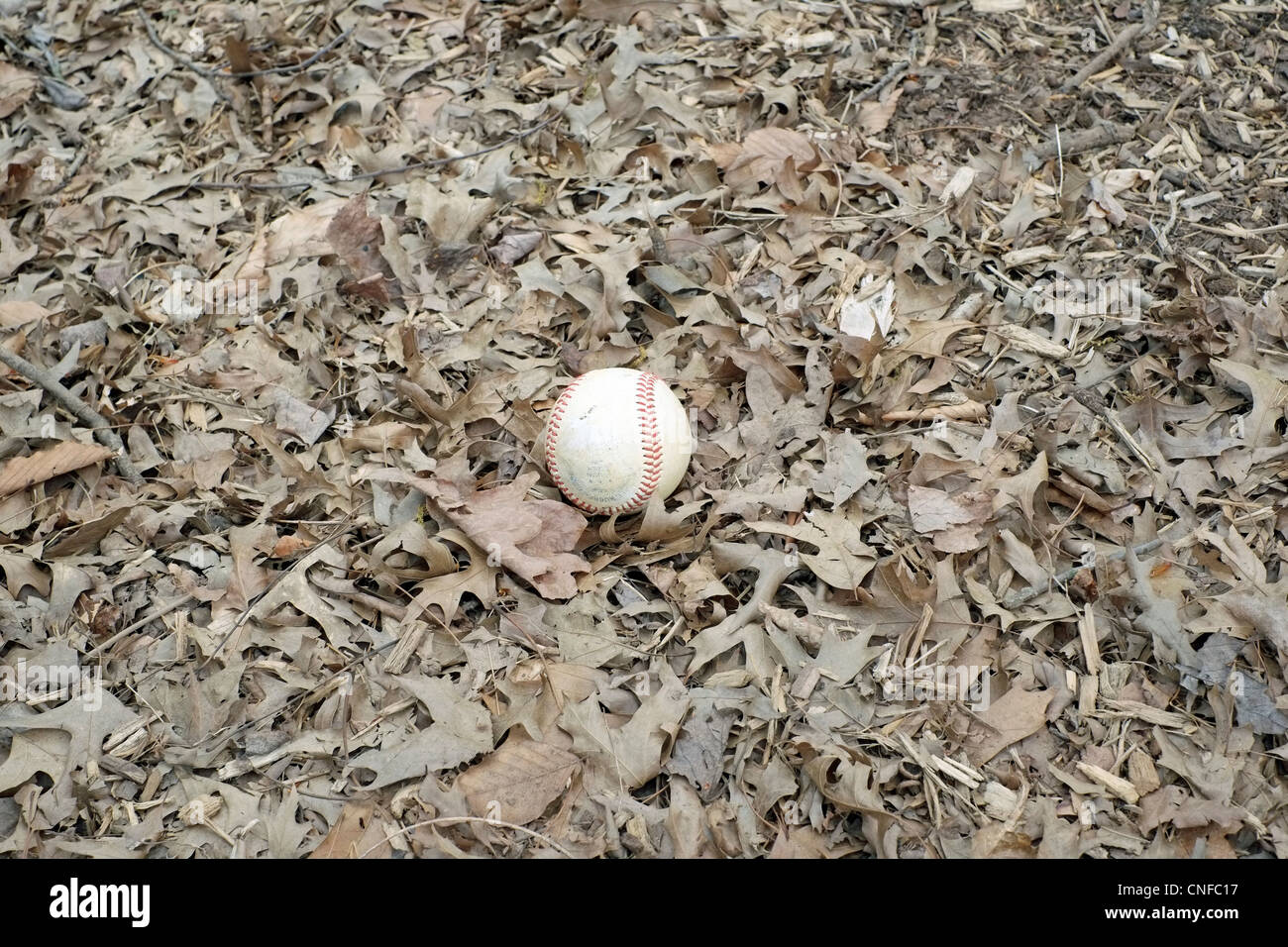Baseball and leaves Stock Photo - Alamy