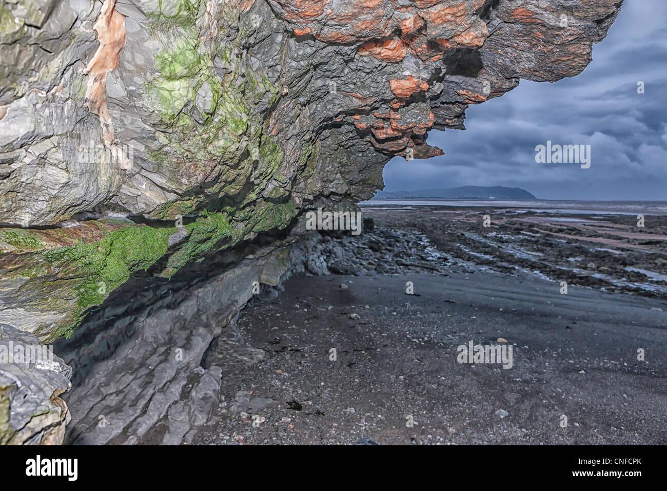 Blue Anchor Formation