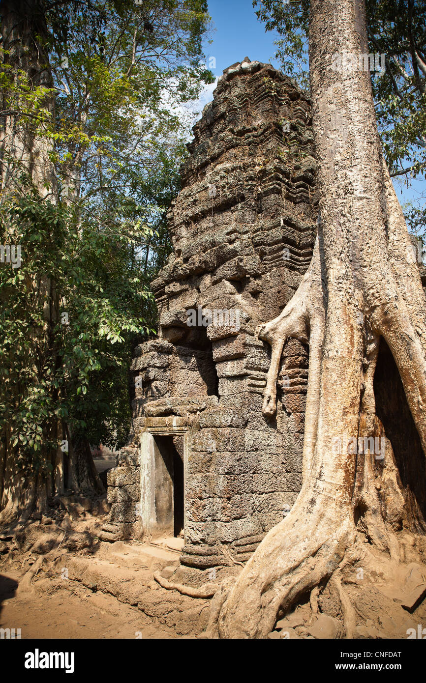 Ta Prohm Temple Stock Photo - Alamy