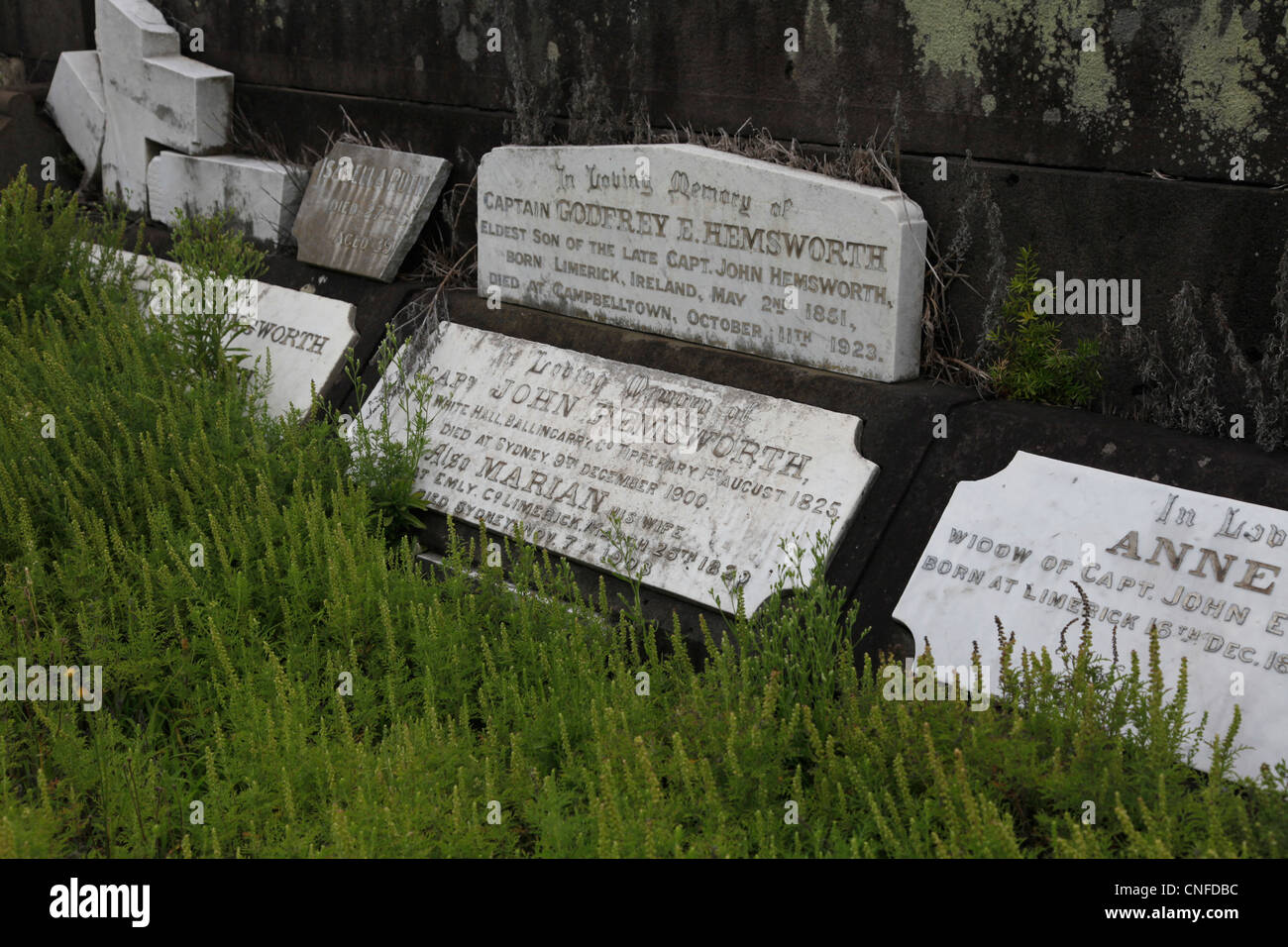 Cemetery on the coastal path from Bondi beach to Bronte and Congee ...