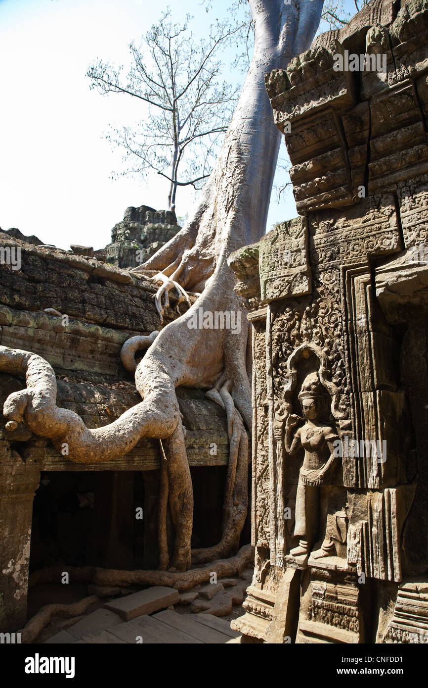 Ta Prohm Temple Stock Photo - Alamy