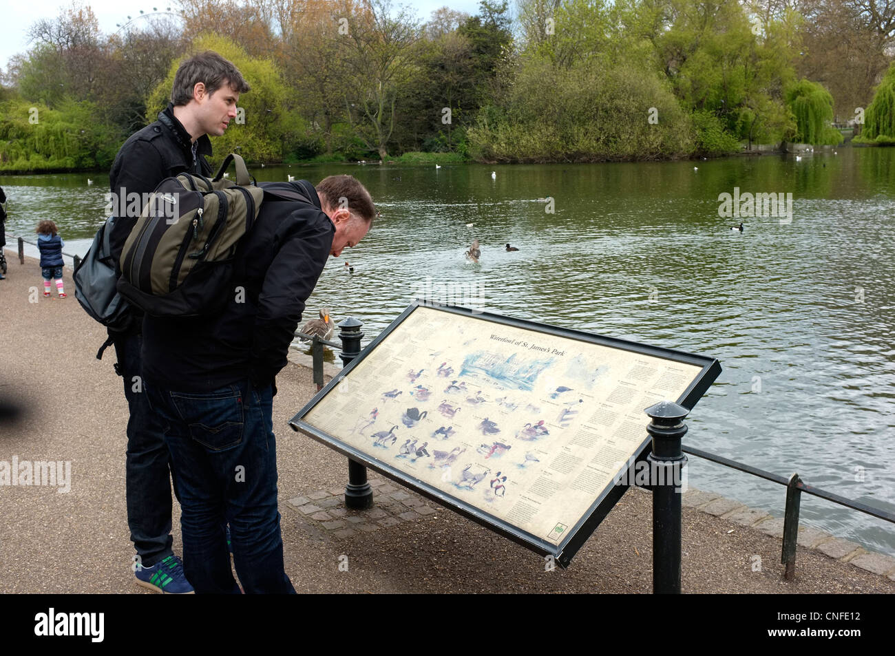 Westminster wildlife hi-res stock photography and images - Alamy