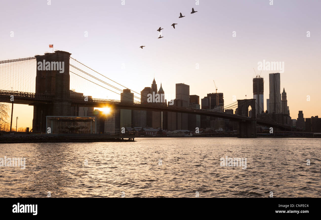 Lower Manhattan at sunset with birds flying over Brooklyn Bridge Stock ...