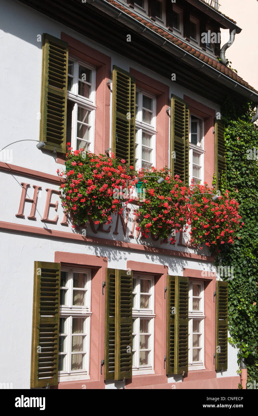 Window flower boxes Old Town Heidelberg, Germany Stock Photo - Alamy