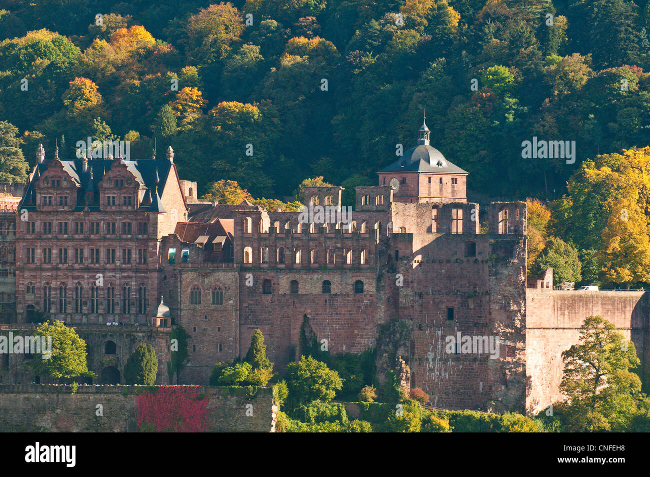 VIew of Heidelberg's Old Town and Heidelberg Castle from the ...
