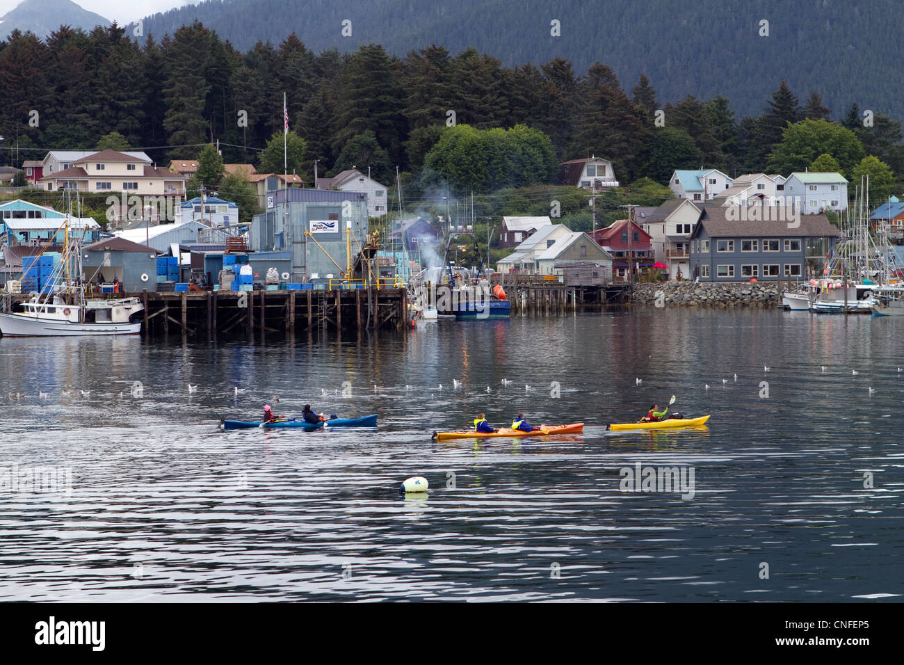 Sitka Harbor in southeast Alaska, USA Stock Photo - Alamy