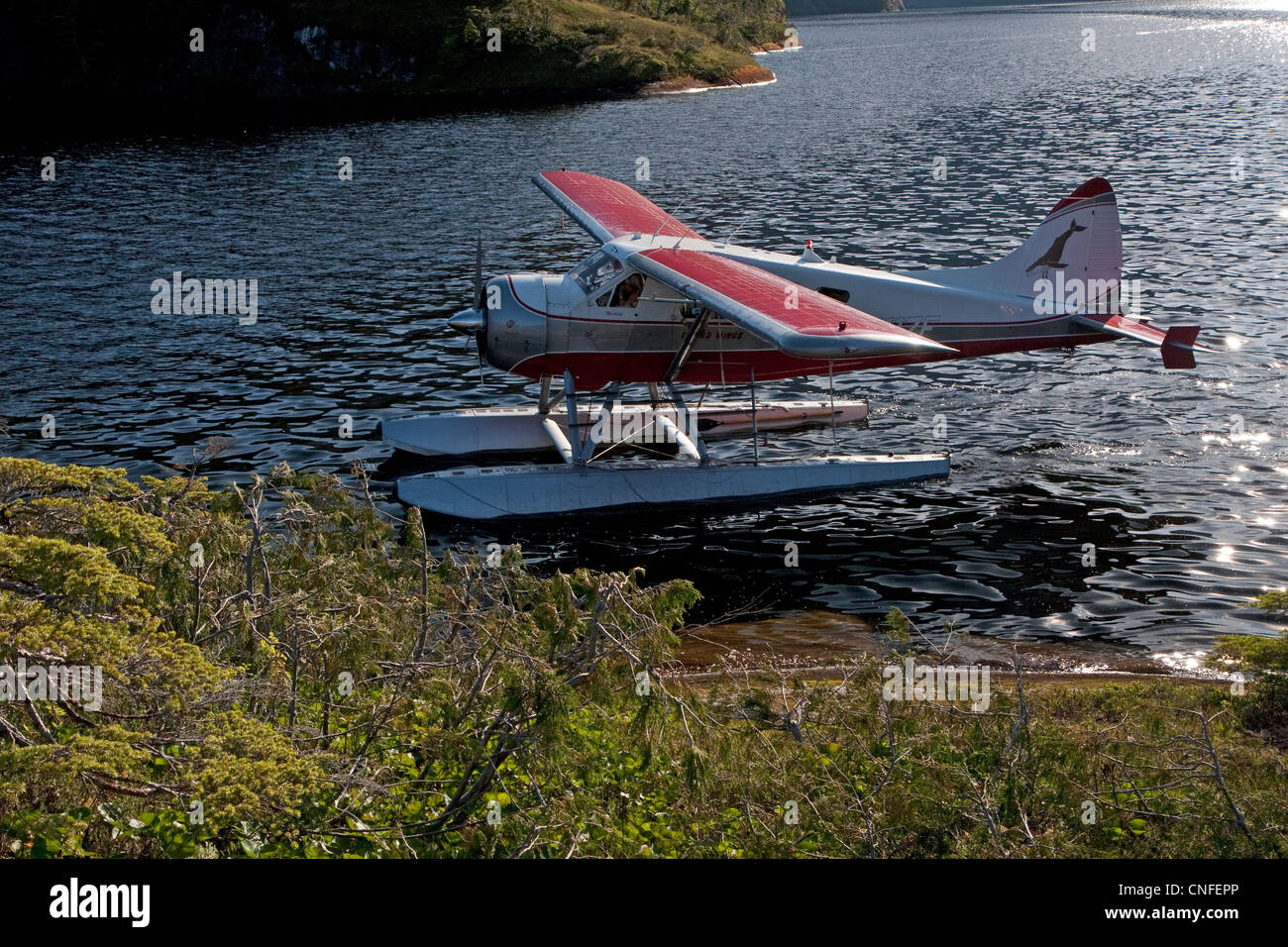 A seaplane lands in Misty Fjords National Monument, near Ketchikan ...