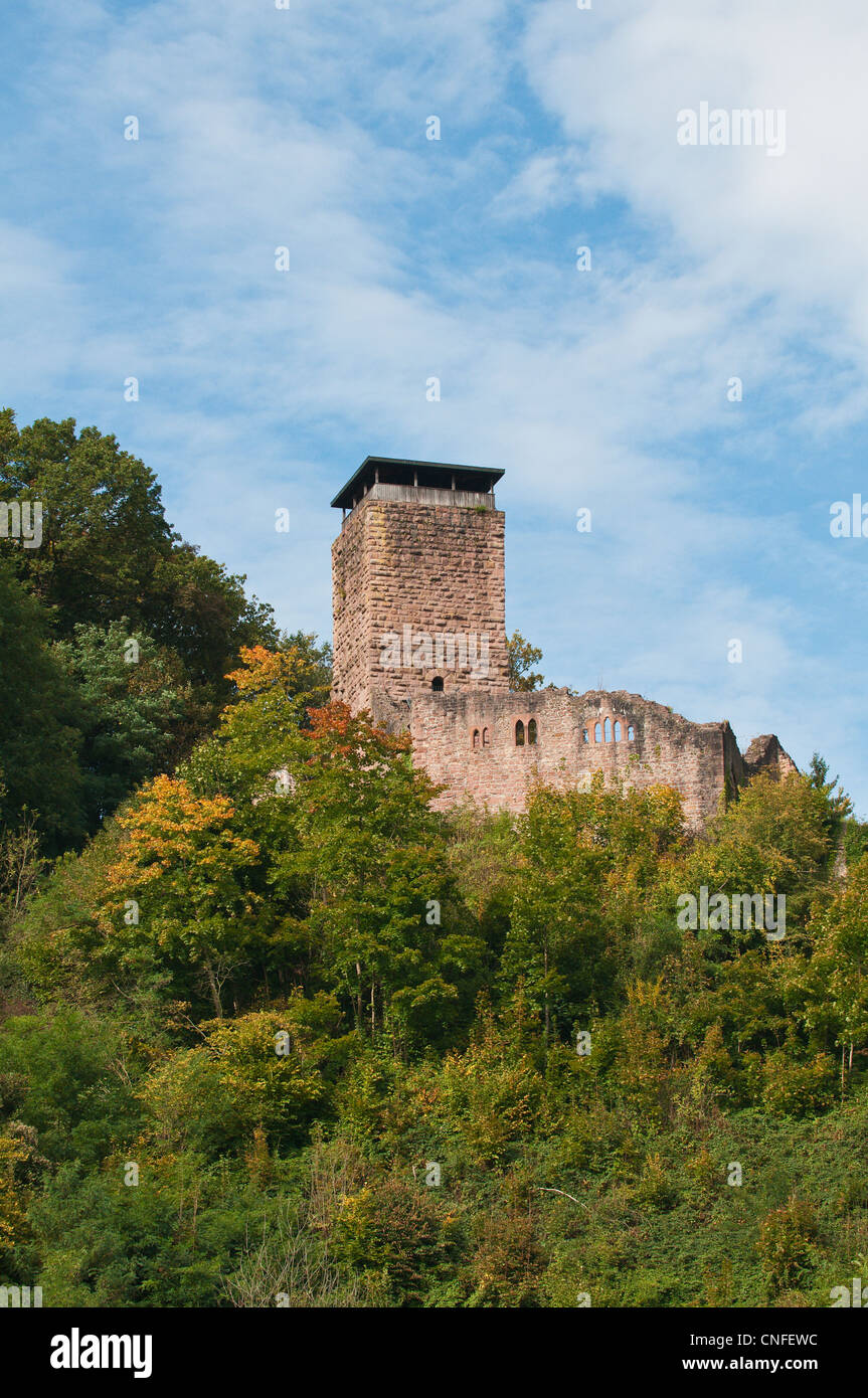 The Hinterburg Castle, Neckarsteinach, Germany Stock Photo - Alamy