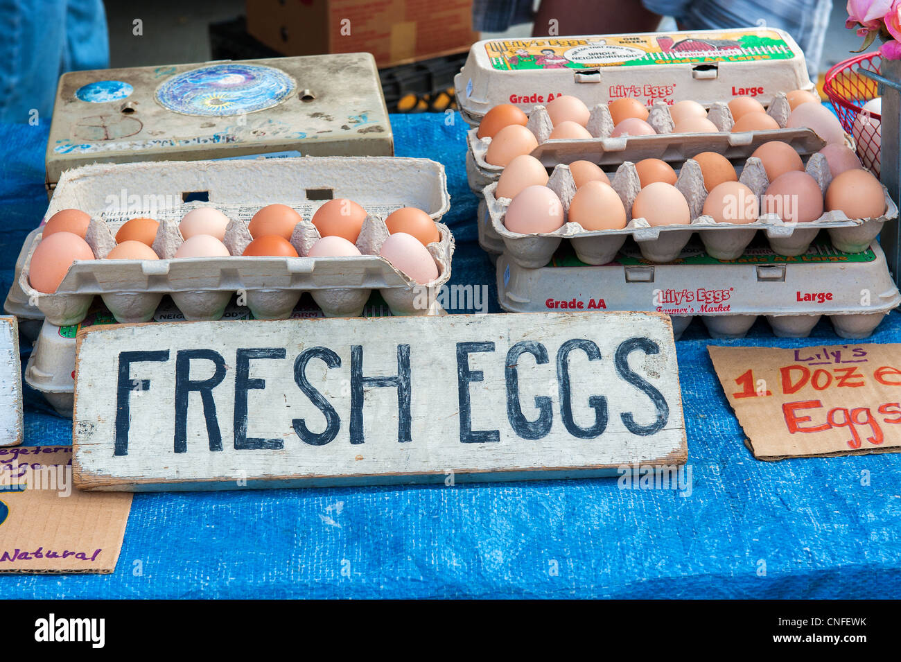 Fresh eggs for sale sign hi-res stock photography and images - Alamy