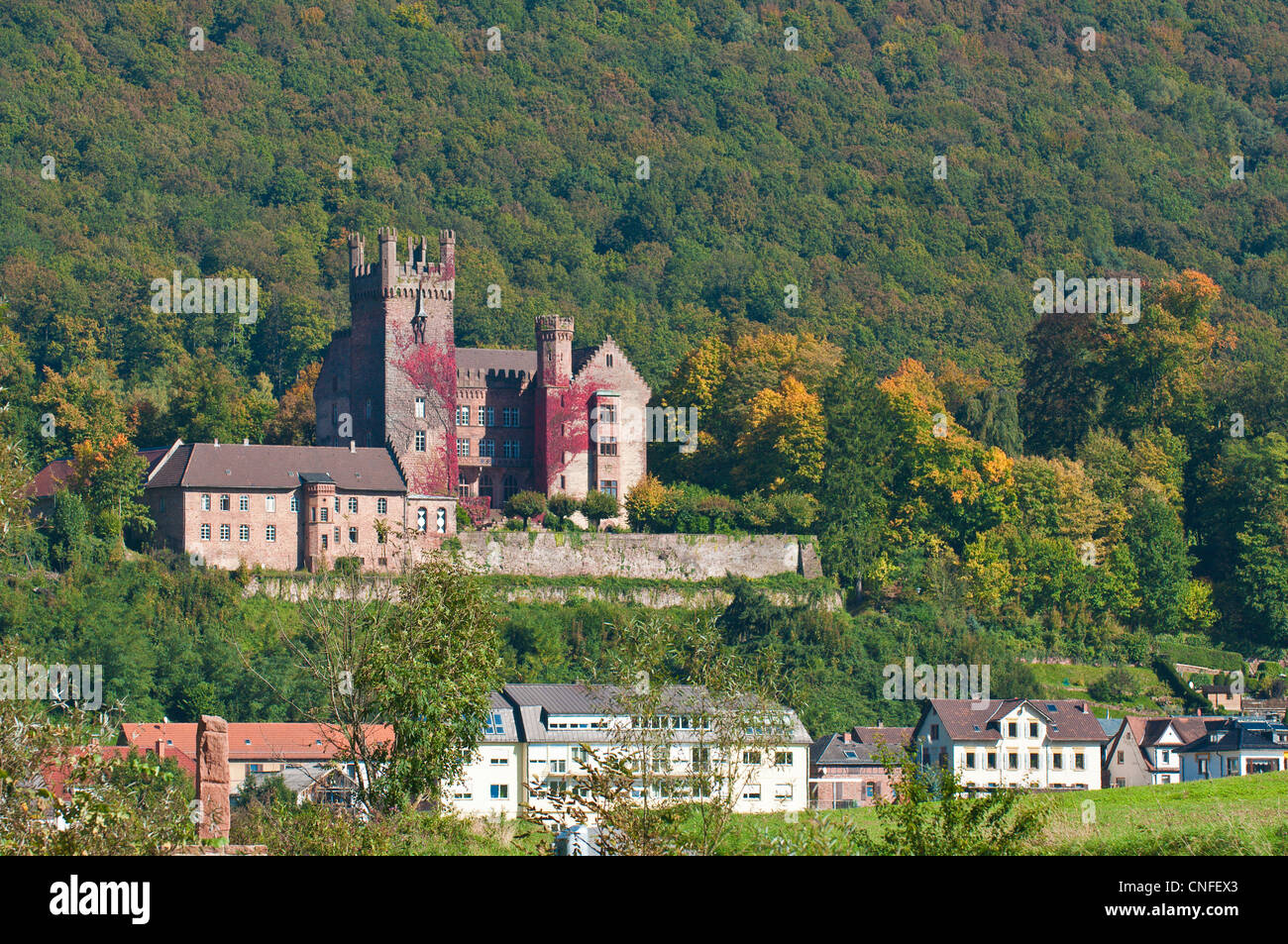 The Mittelburg (Middle Castle) in Neckarsteinach, Germany Stock Photo ...