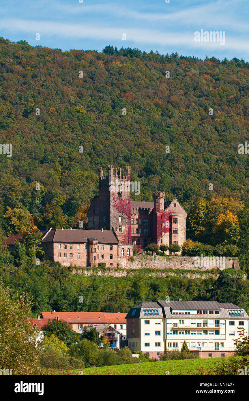 The Mittelburg (Middle Castle) in Neckarsteinach, Germany Stock Photo ...