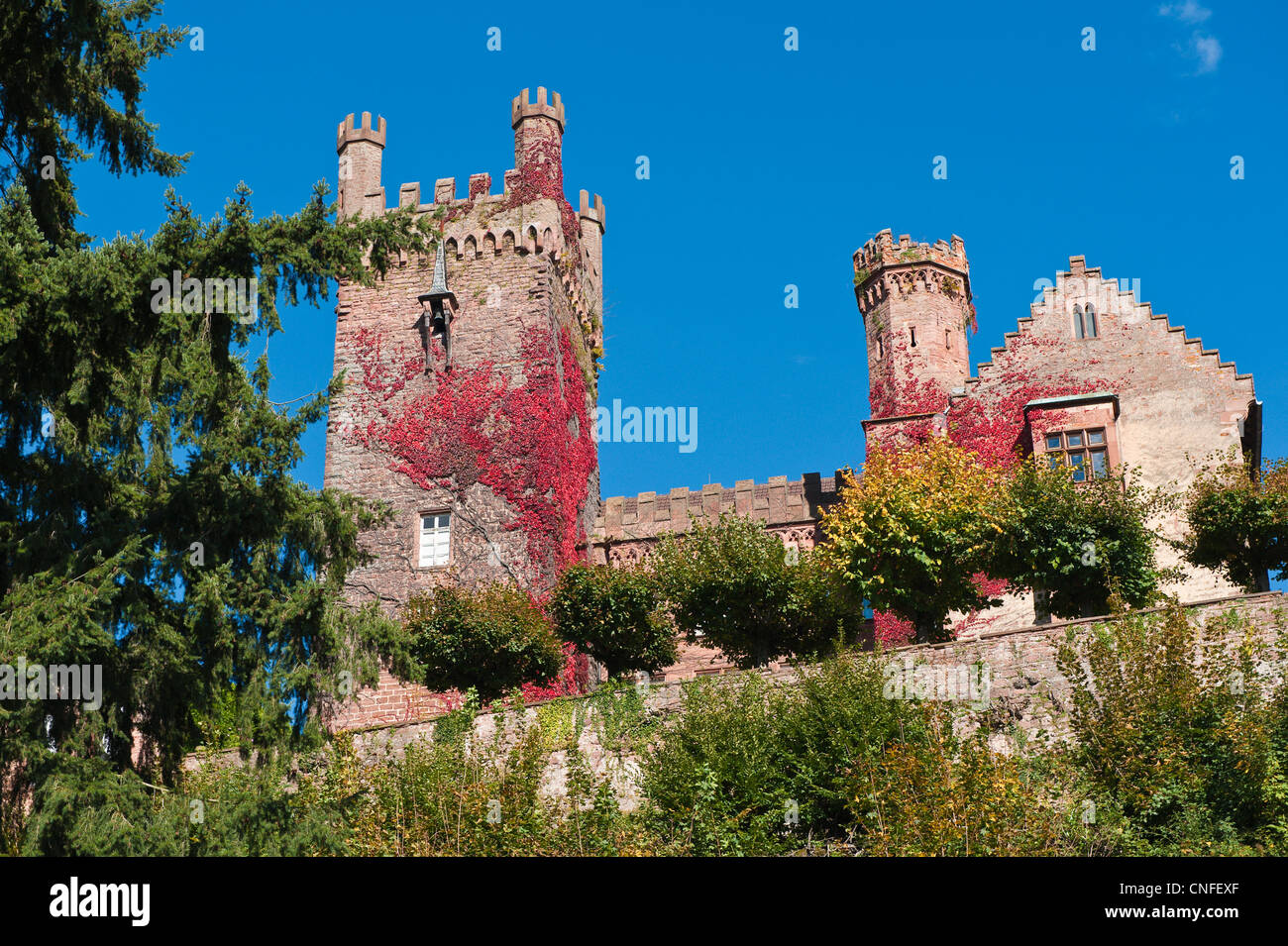 The Mittelburg (Middle Castle) in Neckarsteinach, Germany Stock Photo ...