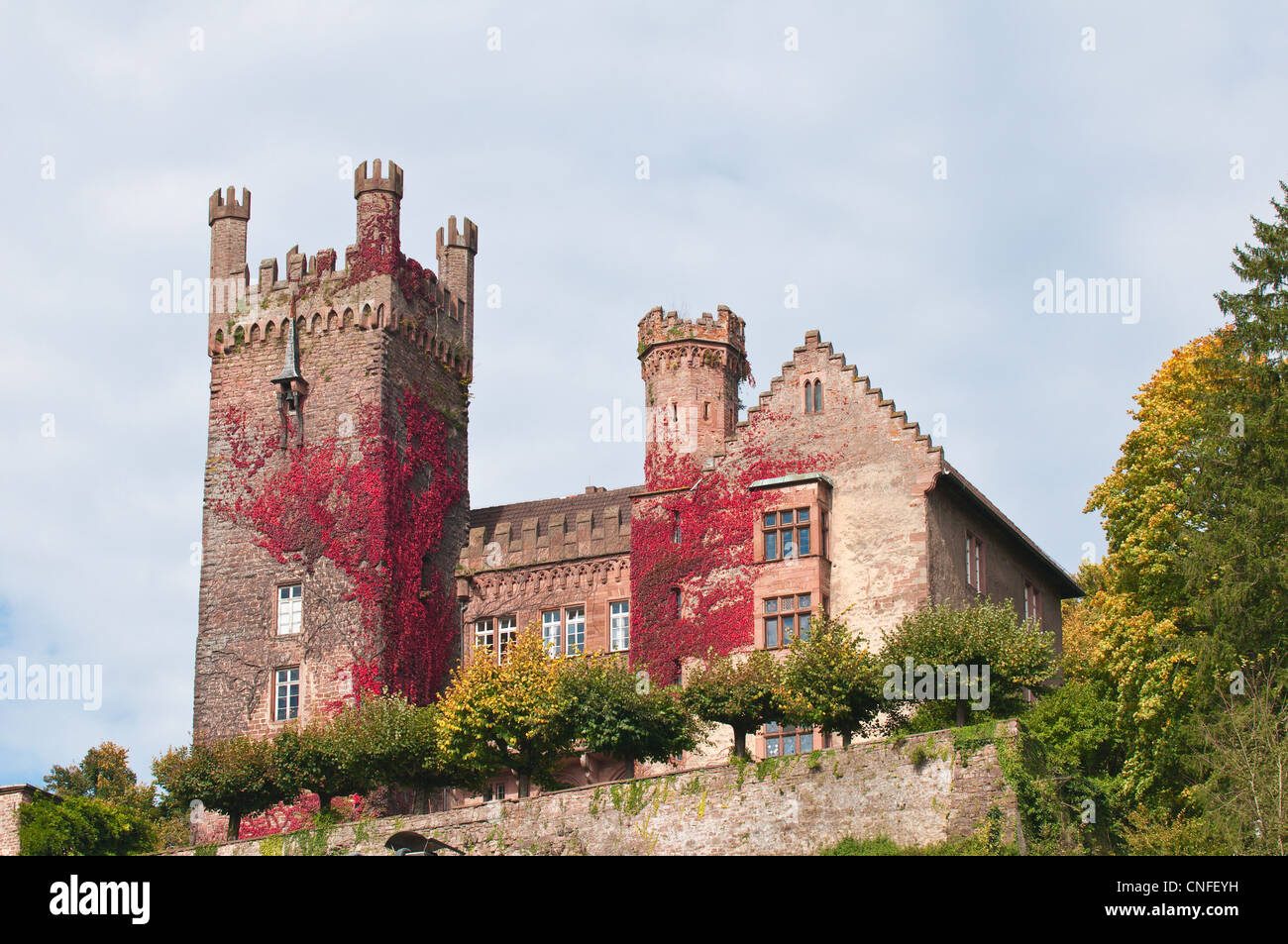 The Mittelburg (Middle Castle) in Neckarsteinach, Germany Stock Photo ...