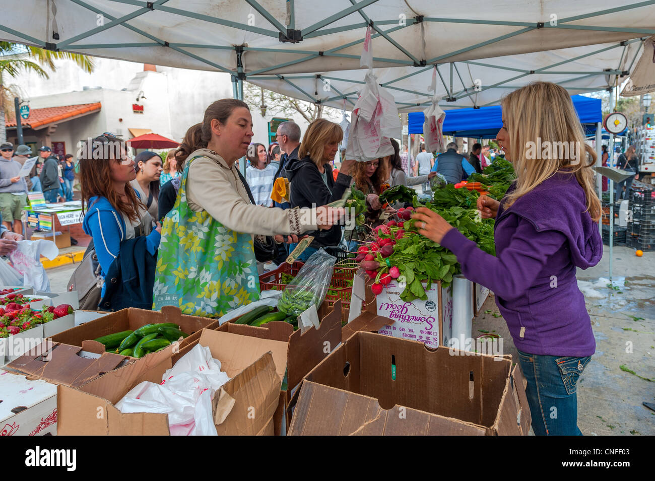 Buying and selling fresh organic produce at the Santa Barbara ...