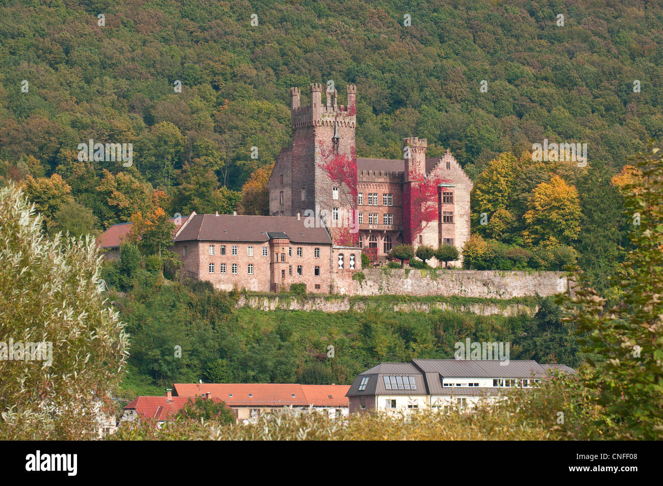 The Mittelburg (Middle Castle) in Neckarsteinach, Germany Stock Photo ...