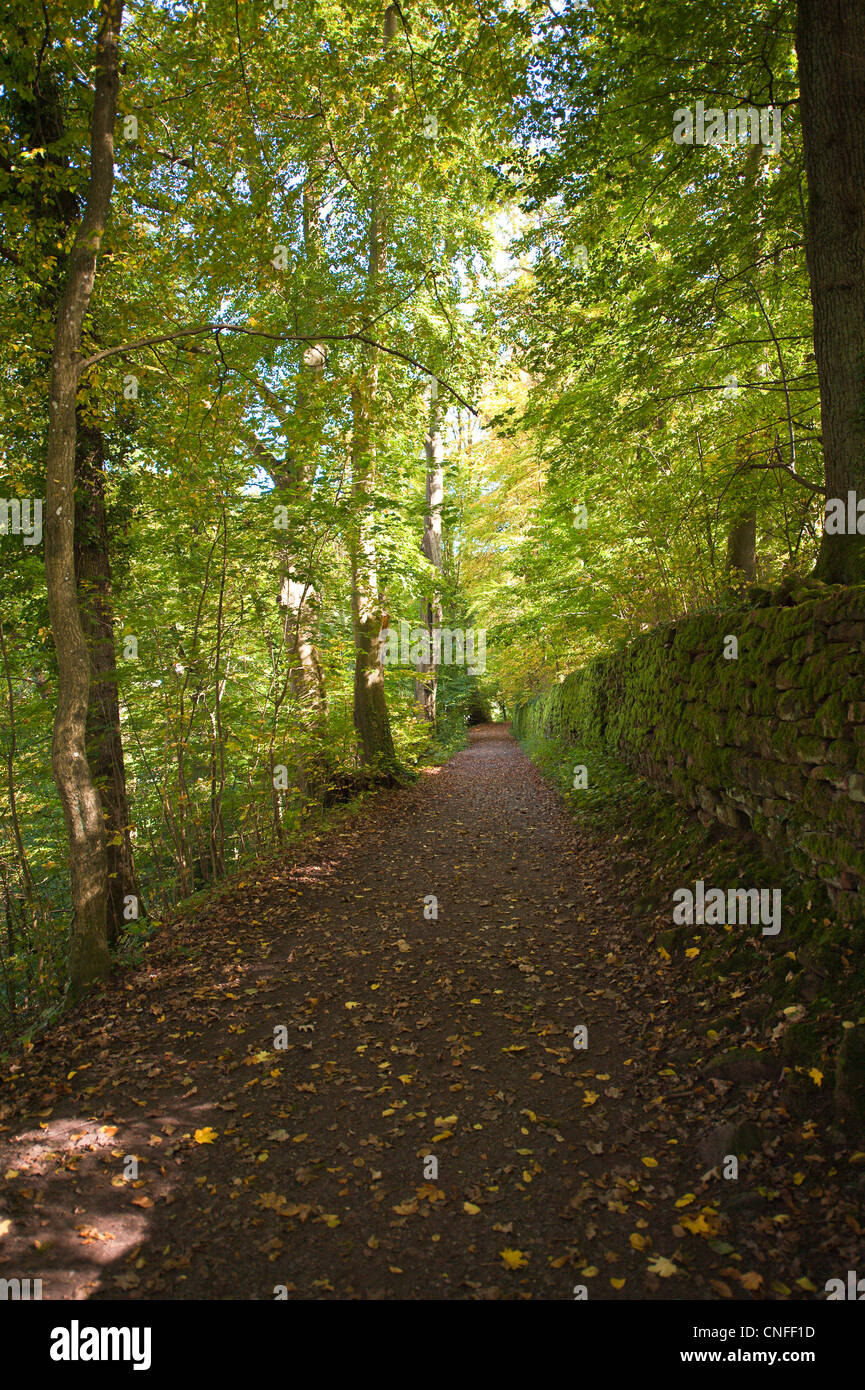 German hiking trail hi-res stock photography and images - Alamy