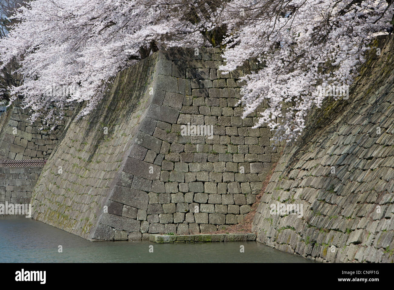 Fukui Castle, moat, fortified stone wall and cherry blossom, in Fukui ...
