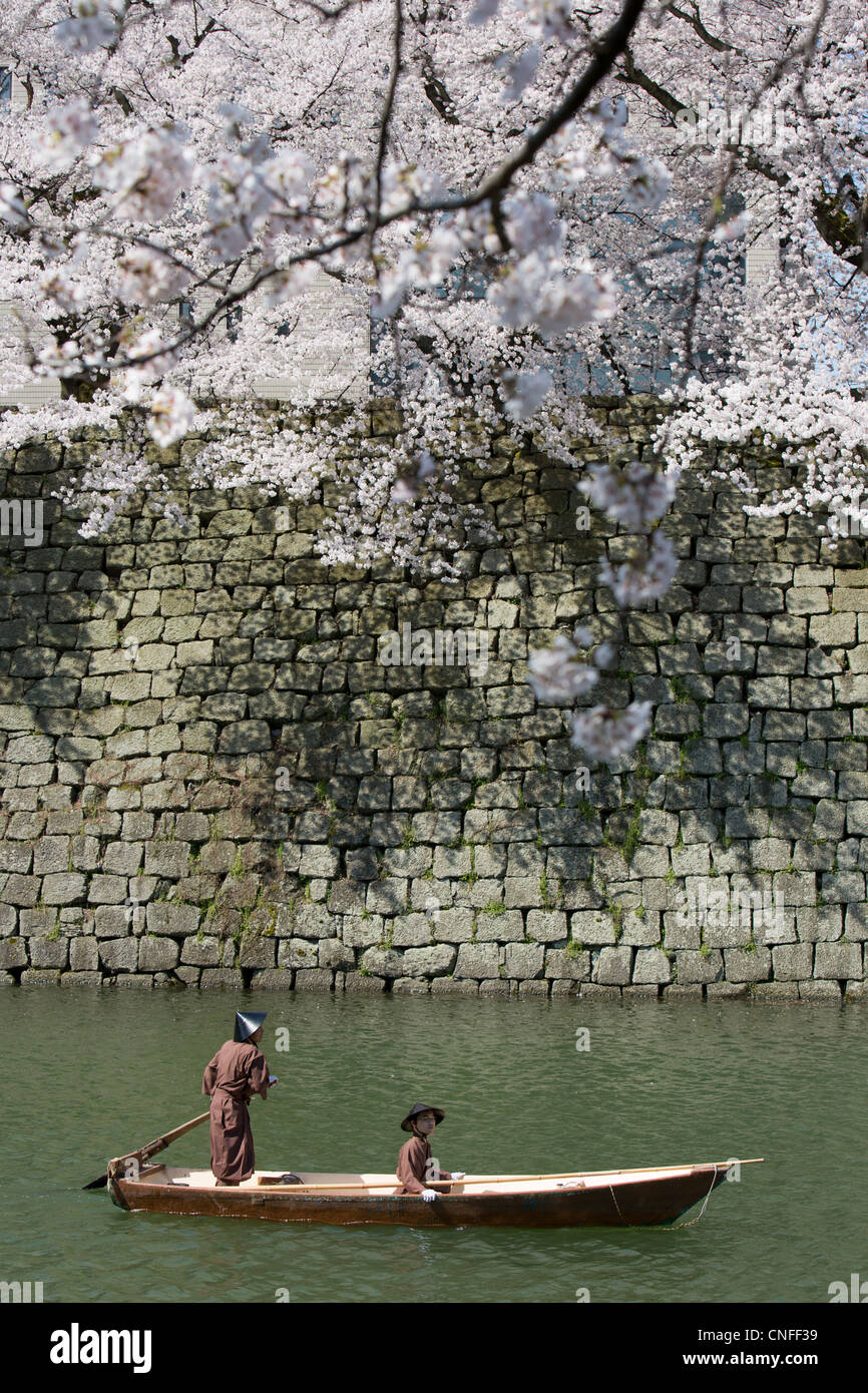 Fukui Castle, moat, fortified stone wall and cherry blossom, in Fukui ...