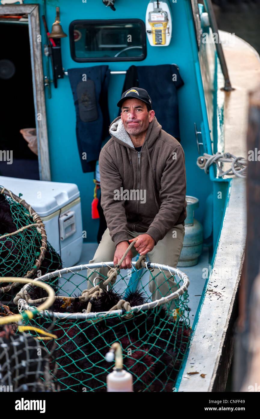 Local fishermen and their fishing boats, unloading sea urchins for sale ...