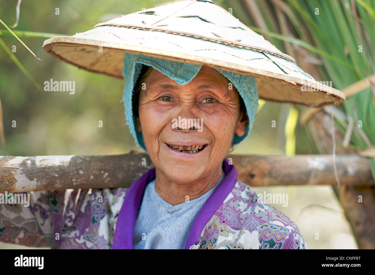 Elderly woman carrying a load of grasses on the road between Hsipaw and ...