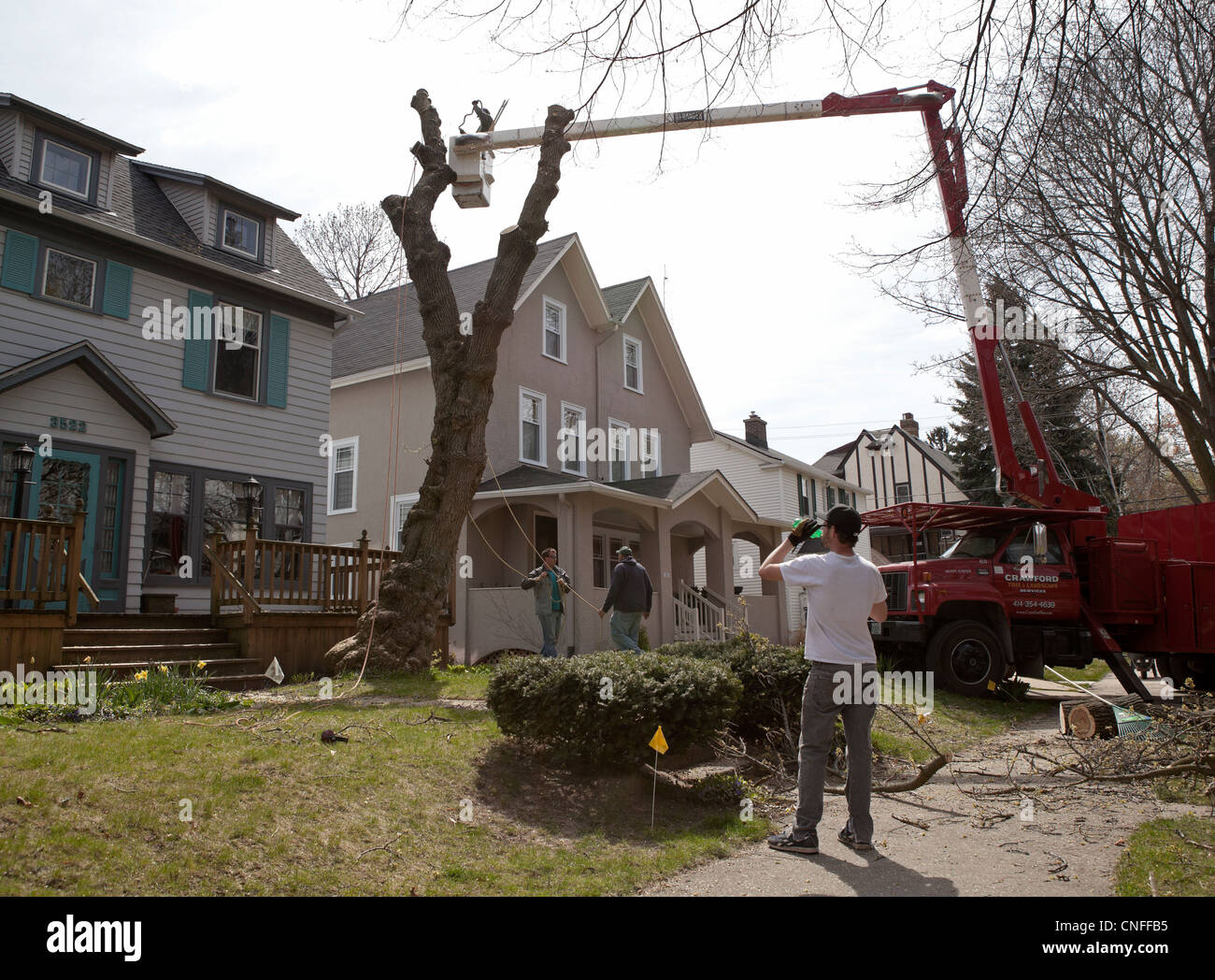A tree is cut down in a front yard of a residence in the USA Stock ...