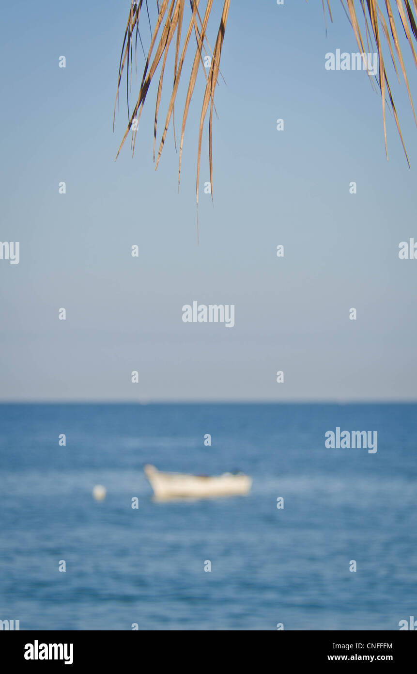 Palm leaves sea hi-res stock photography and images - Alamy