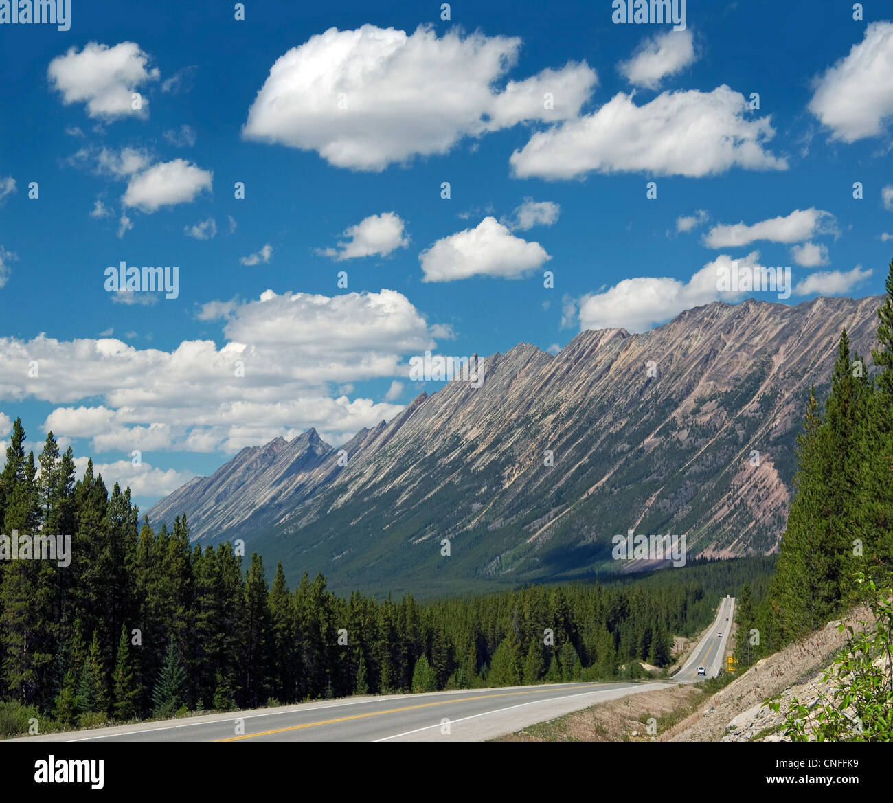 Canadian Rockies, Endless Chain Ridge, Alberta Stock Photo - Alamy