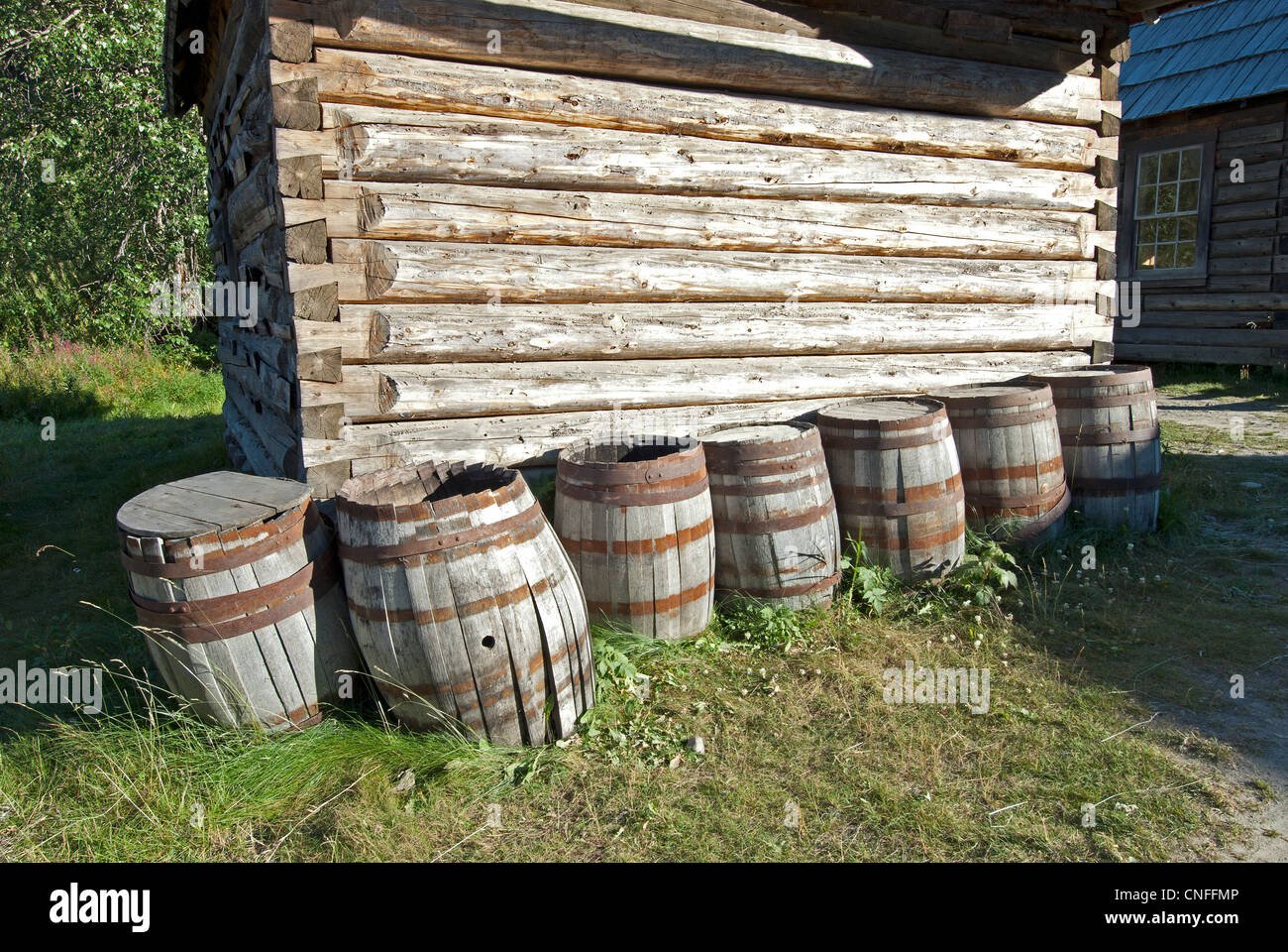 Ancient log-cabin with barrels in a gold rush era Stock Photo - Alamy