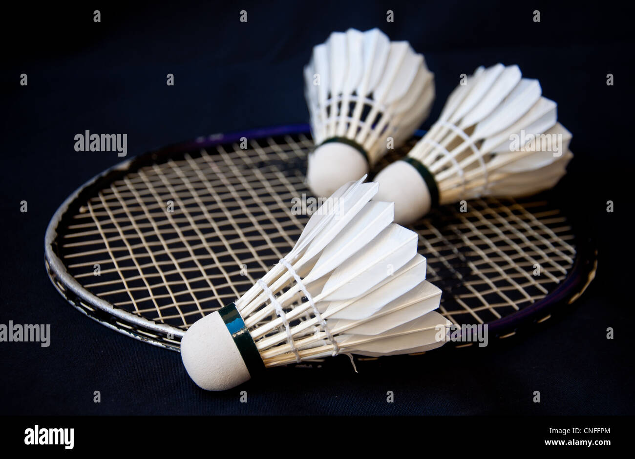 shuttlecock on racket Stock Photo - Alamy