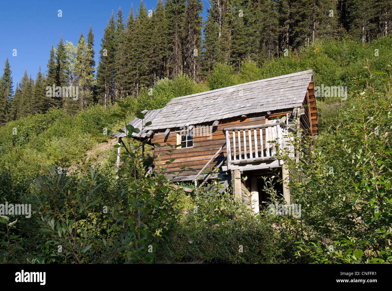 Ancient log-cabin in a gold rush era Stock Photo - Alamy