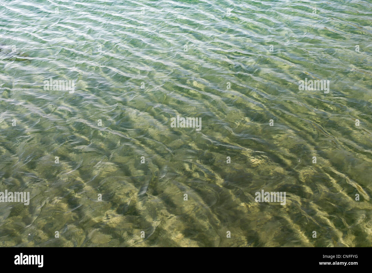 Small tide hi-res stock photography and images - Alamy