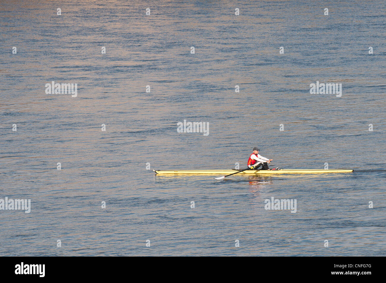 Sculling hi-res stock photography and images - Alamy