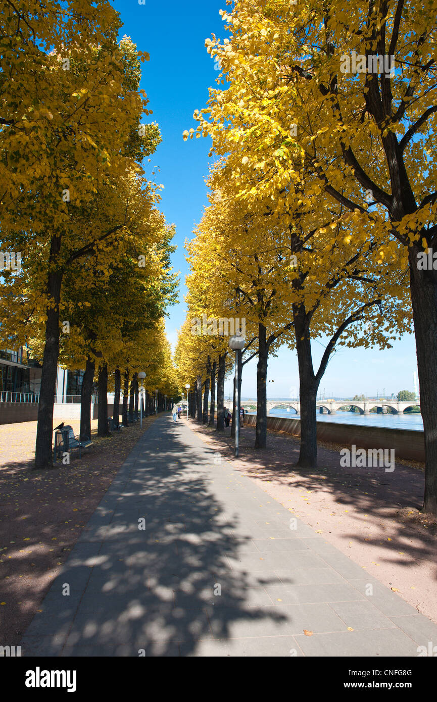 Pedestrian pathway hi-res stock photography and images - Alamy