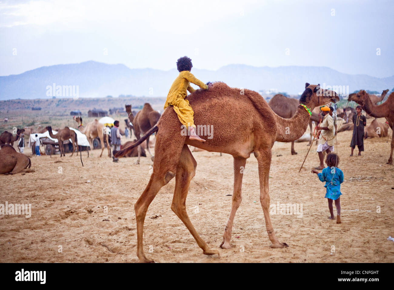 Children with camel hi-res stock photography and images - Alamy