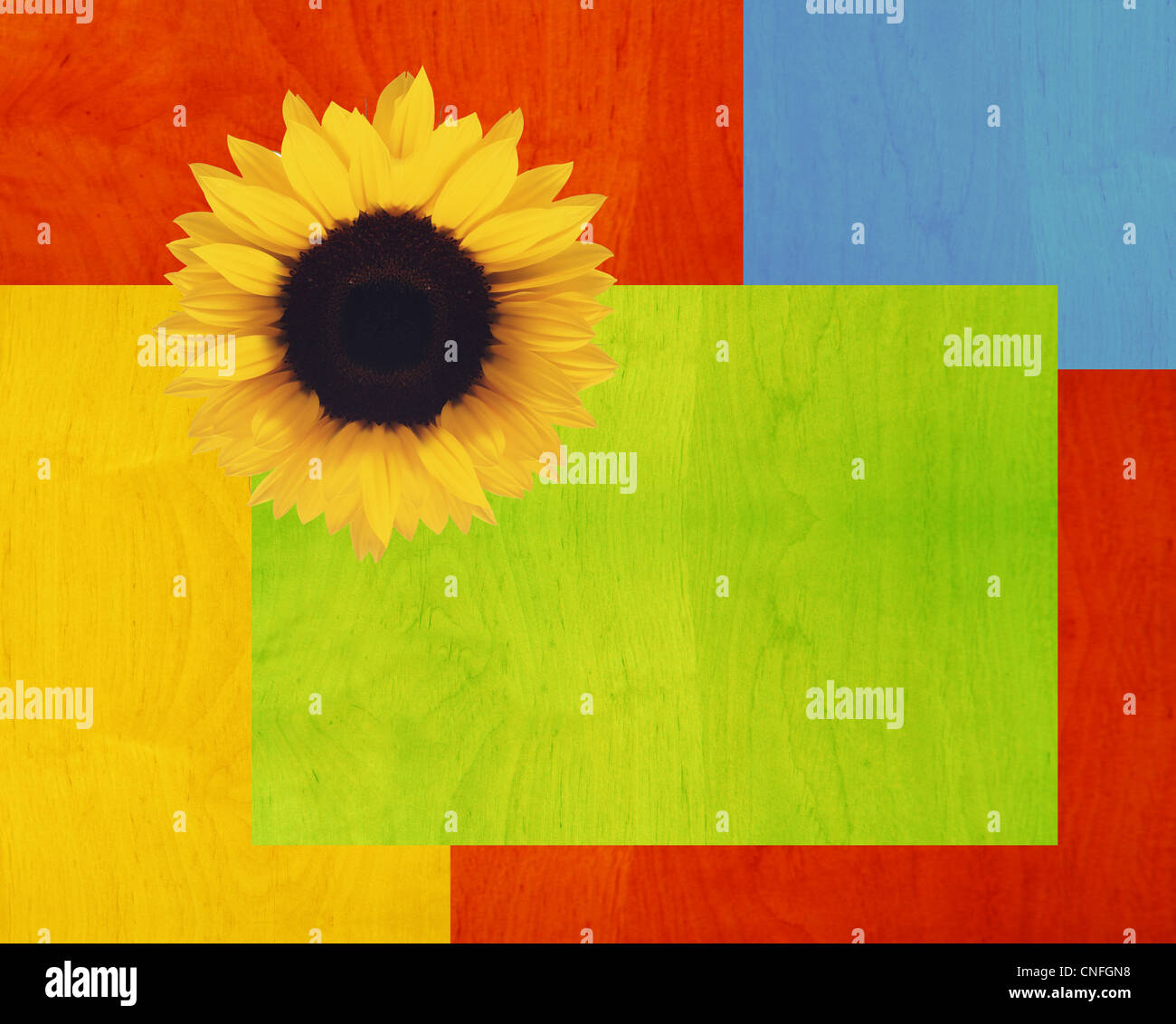 Abstract sunflower Background Texture Stock Photo - Alamy