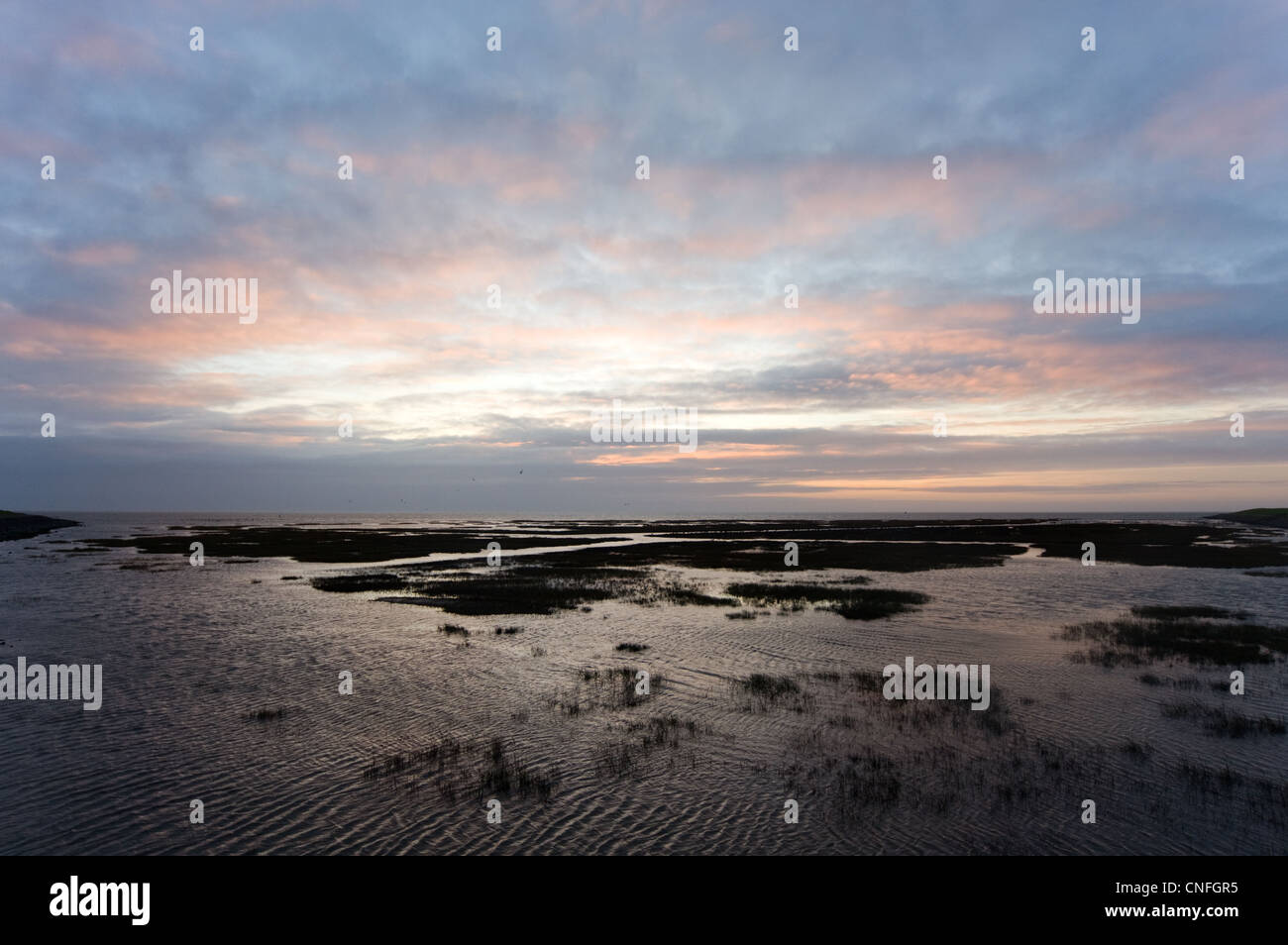 Tidal marsh hi-res stock photography and images - Alamy