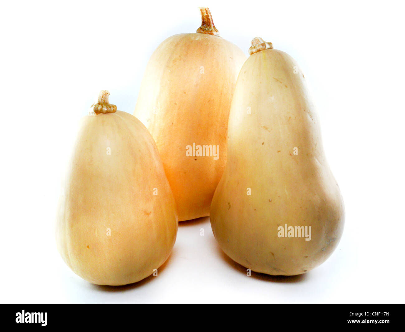 butternut squash on white background Stock Photo - Alamy