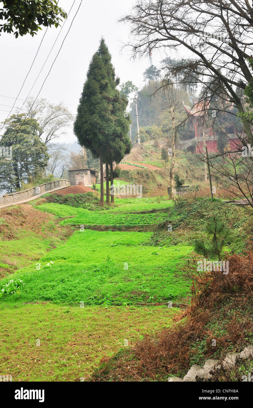 chinese rural scenery Stock Photo - Alamy